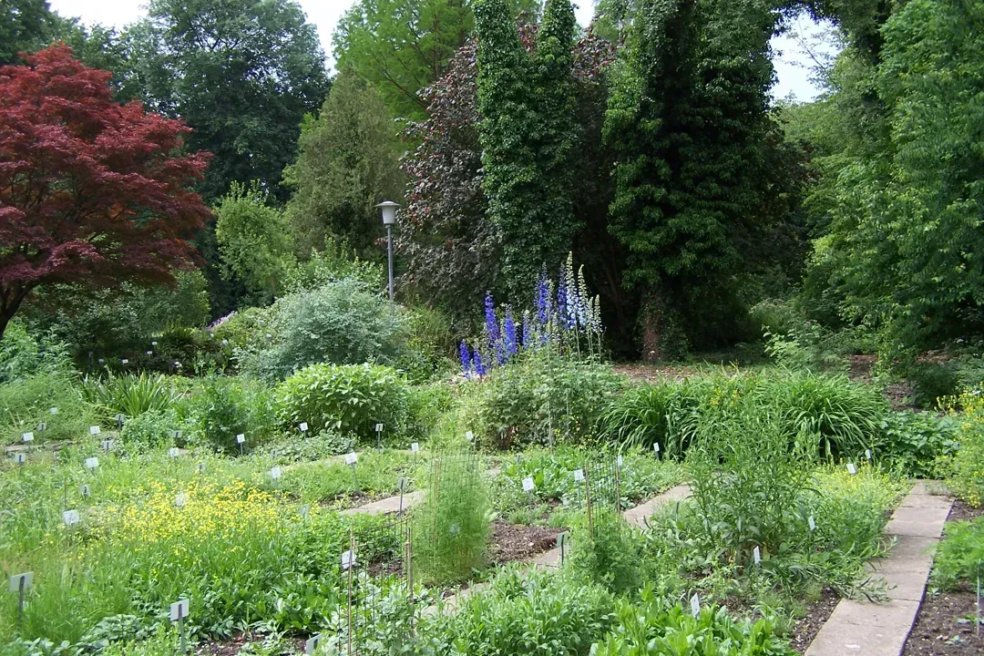 Old Botanical Garden of Göttingen University攻略及週邊必遊景點推薦｜雄獅旅遊