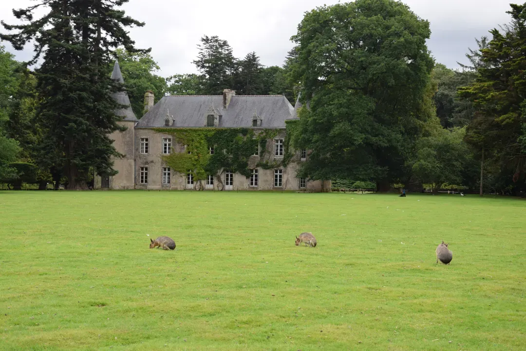 Zoo and Botanical Garden of Branféré攻略及週邊必遊景點推薦｜雄獅旅遊
