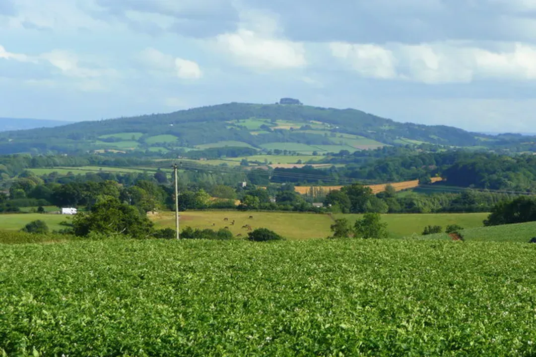 May Hill攻略及週邊必遊景點推薦｜雄獅旅遊
