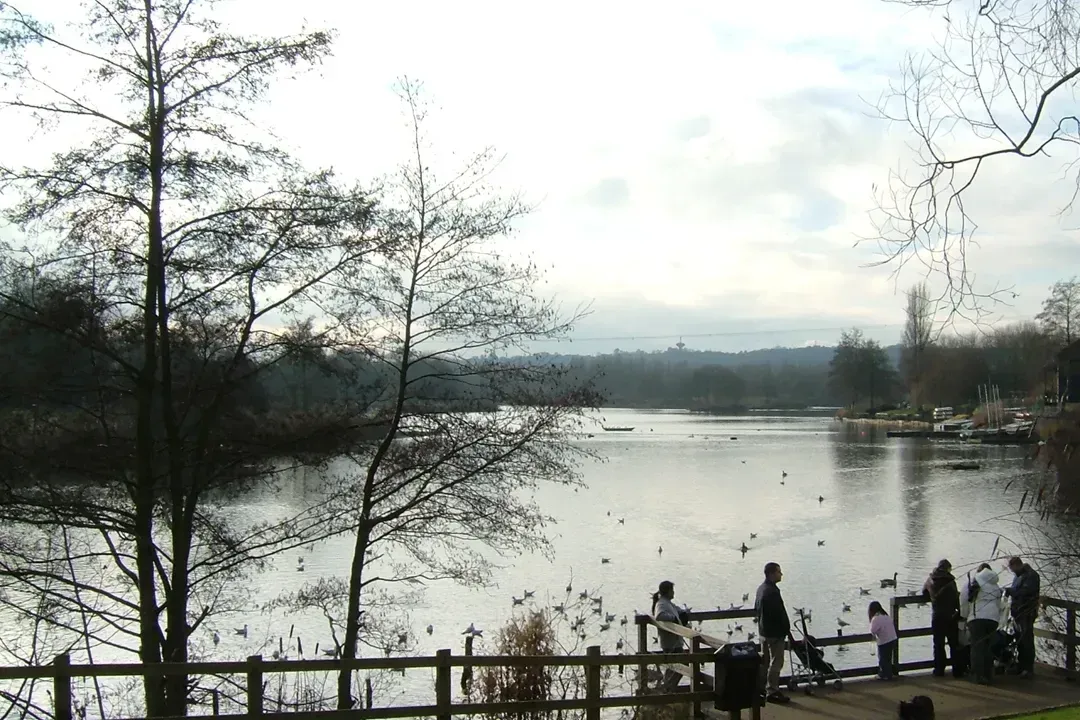 Arrow Valley Country Park攻略及週邊必遊景點推薦｜雄獅旅遊