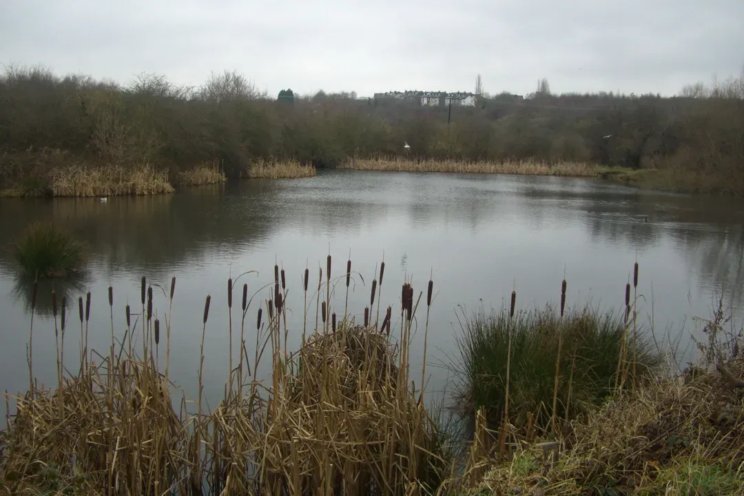 Shire Brook Valley Local Nature Reserve攻略及週邊必遊景點推薦｜雄獅旅遊