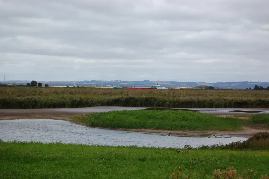 Blacktoft Sands RSPB reserve攻略及週邊必遊景點推薦｜雄獅旅遊