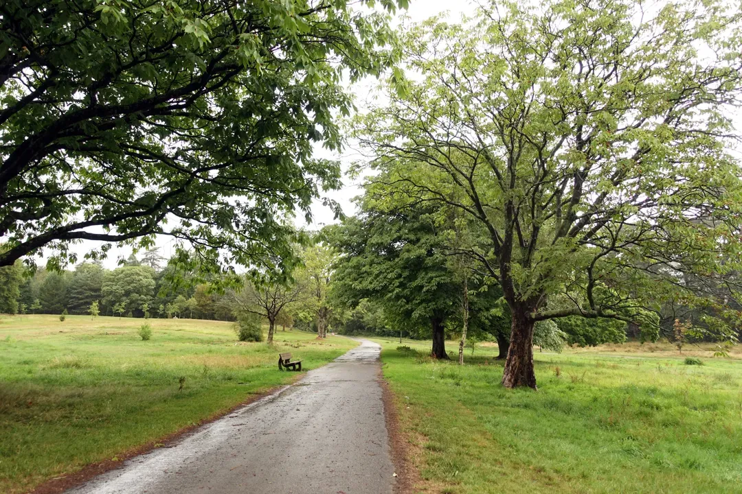 Singleton Park攻略及週邊必遊景點推薦｜雄獅旅遊