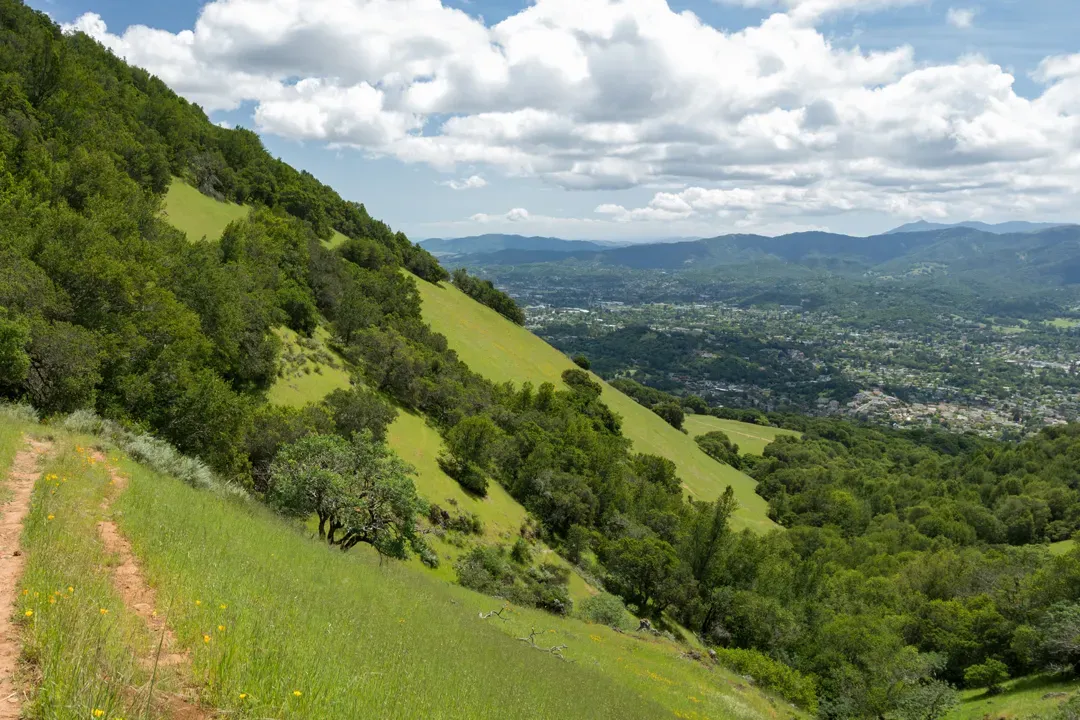 Mount Burdell Open Space Preserve攻略及週邊必遊景點推薦｜雄獅旅遊