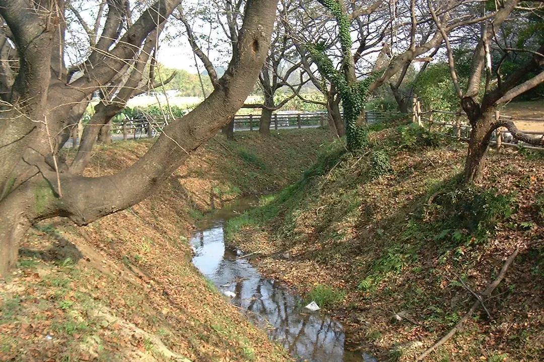 Minuma Tsūsen-bori攻略及週邊必遊景點推薦｜雄獅旅遊