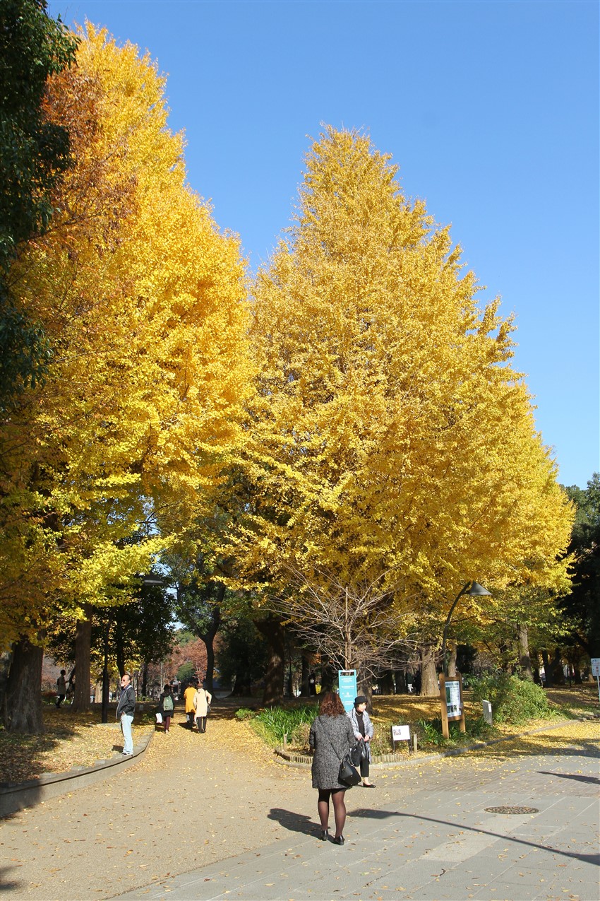 【日本機加酒推薦】2023高CP值團體自由行套裝行程｜FunTime旅遊比價